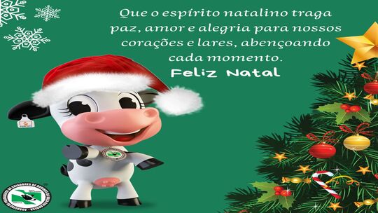Boas festas e um Feliz Natal! - APCBRH - Associação Paranaense de ...
